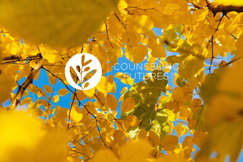 Counseling Futures – Developing Individuals – Transforming Society ...